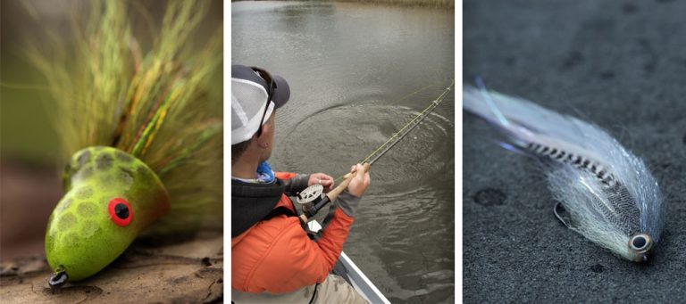 PREDATOR - Ahrex Hooks