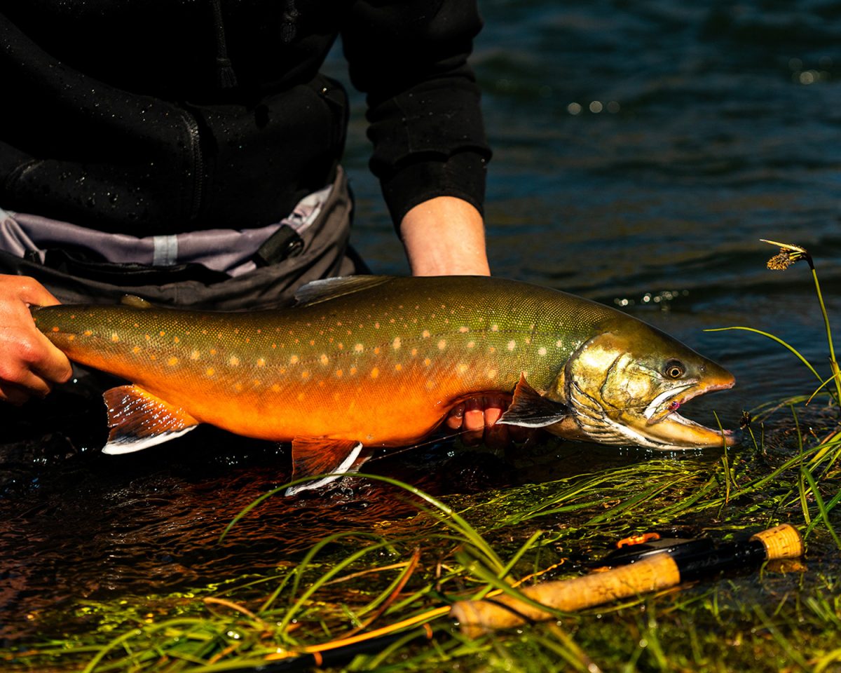 Arctic char – Photo essay from Greenland - Ahrex Hooks