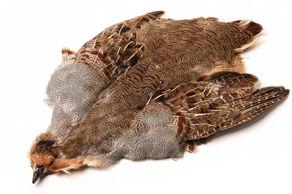 The partridge - Ahrex Hooks