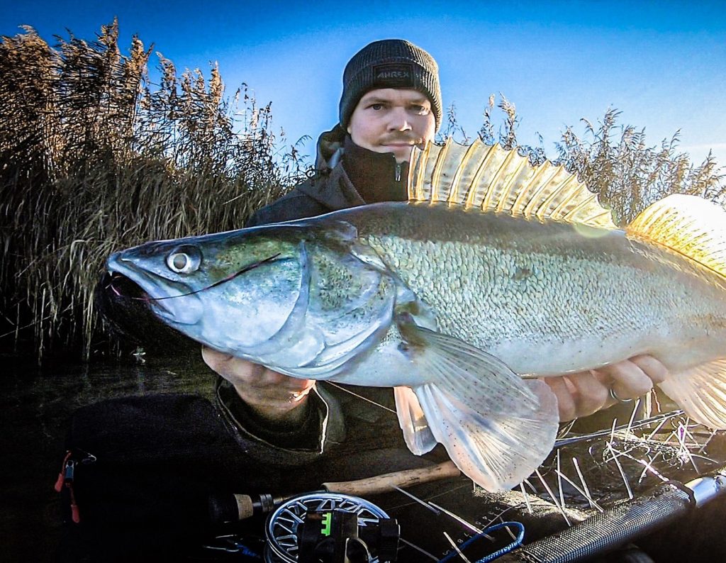 Big Zander on the Fly by Christian Drost - Ahrex Hooks