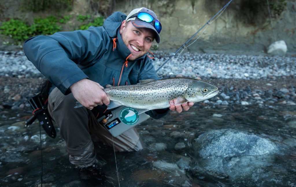 Magic Møn - Ahrex Hooks