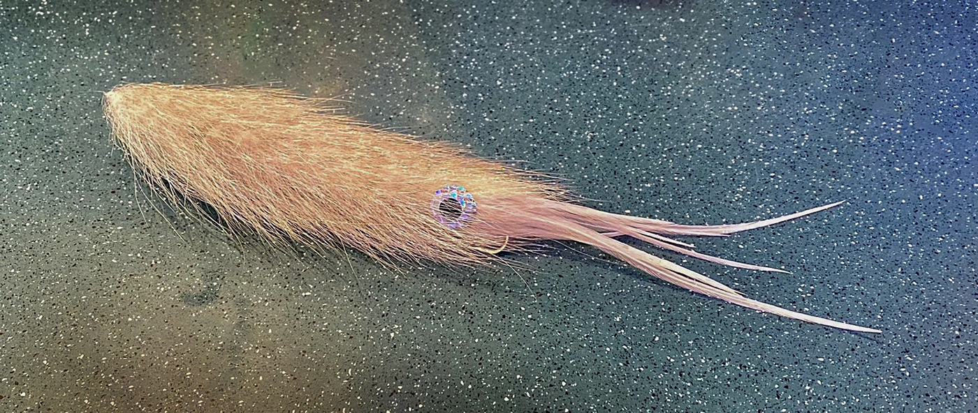 Calamari Time along The Northeast Coast - Ahrex Hooks