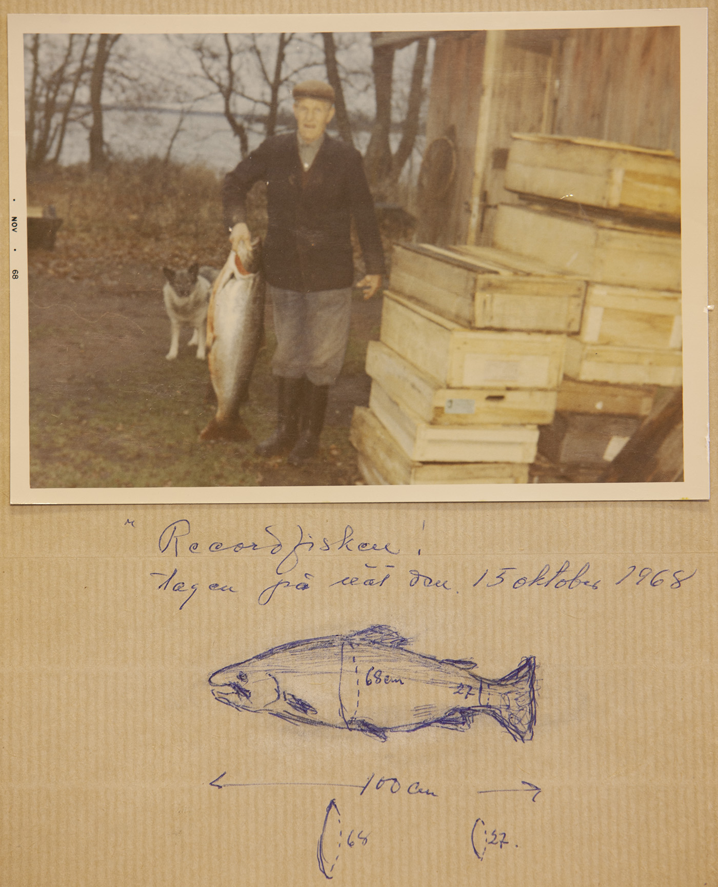 Scandinavian +5 kg (11 lbs) sea-run brown trout - Ahrex Hooks