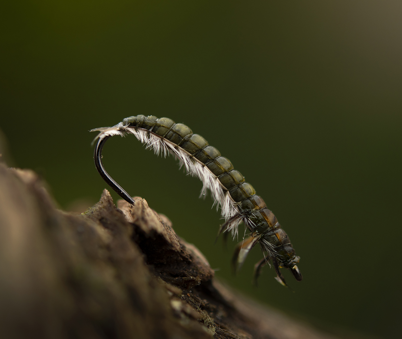 Caddis nymphs - Ahrex Hooks
