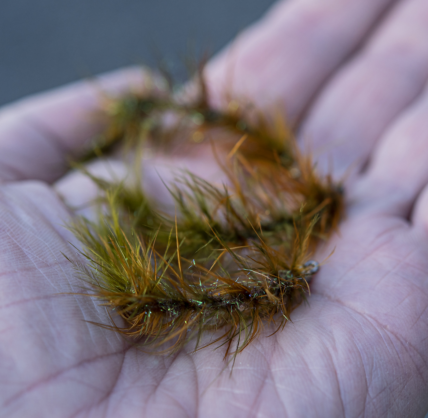 Game Changers - Ahrex Hooks