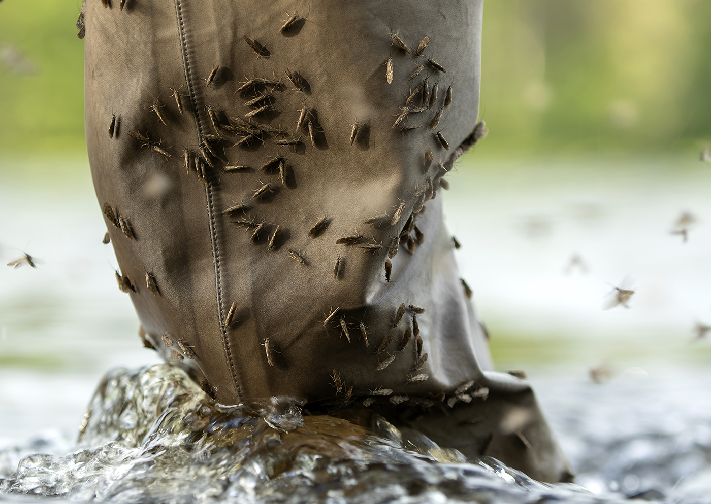 Caddisflies - Ahrex Hooks