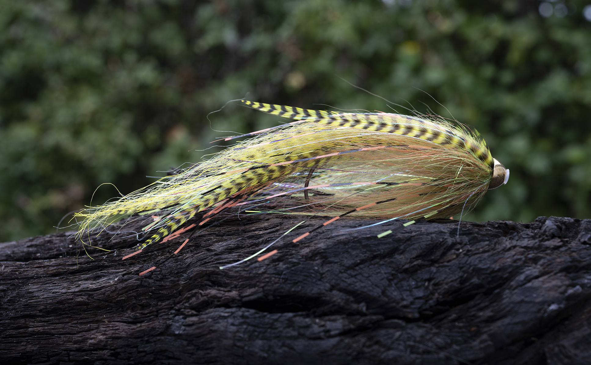 Predator season - Ahrex Hooks