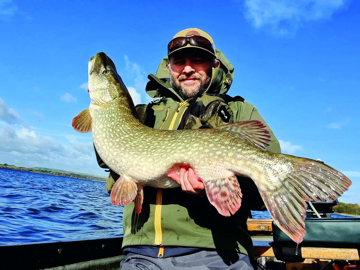 Weedless pike flies - Ahrex Hooks