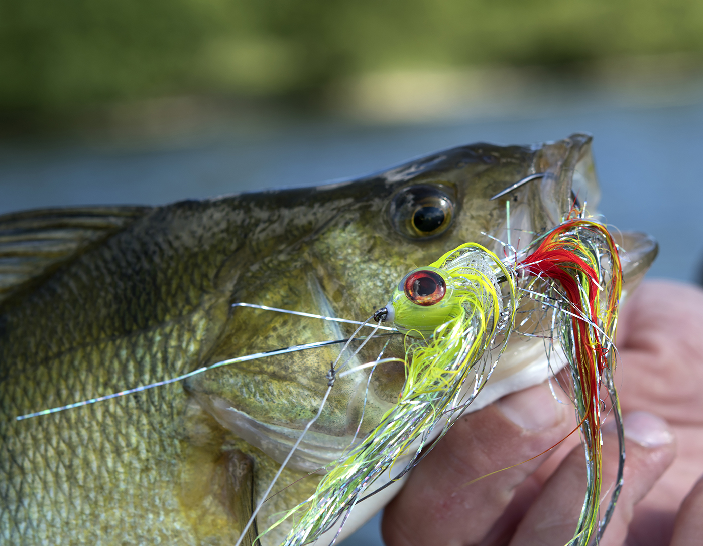 Depth Probing for Perch - Ahrex Hooks