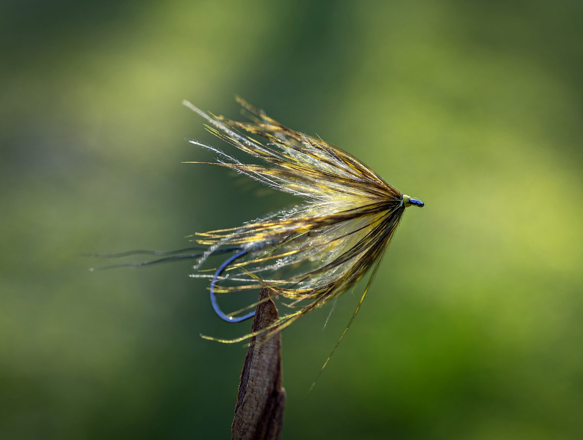 Seasons - Ahrex Hooks