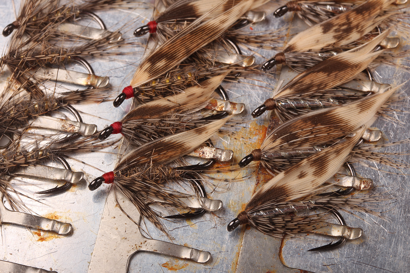 The Partridge - Ahrex Hooks