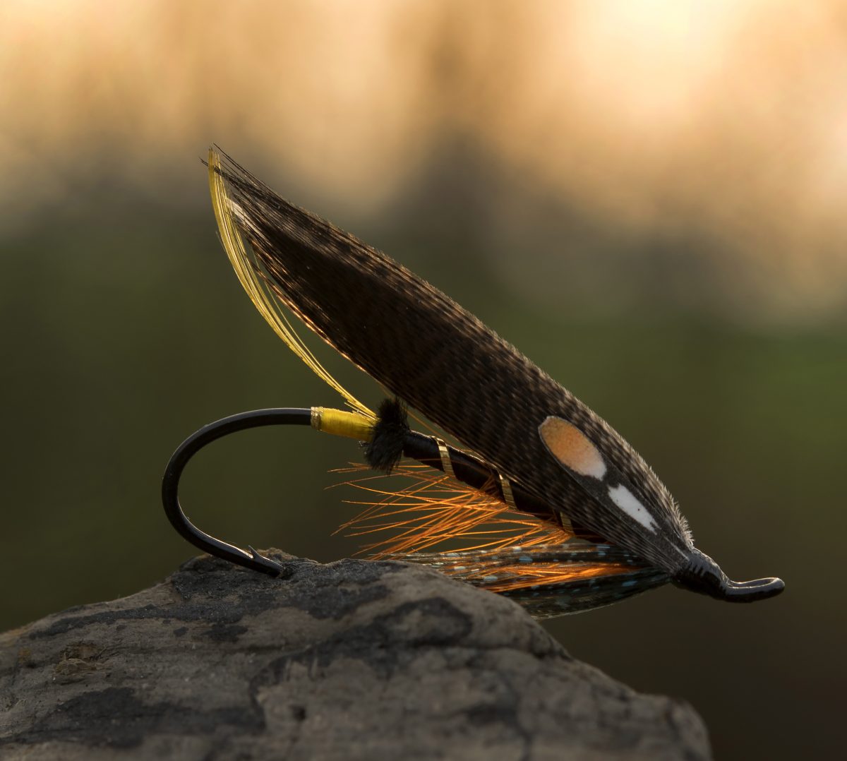 BLOG - Ahrex Hooks