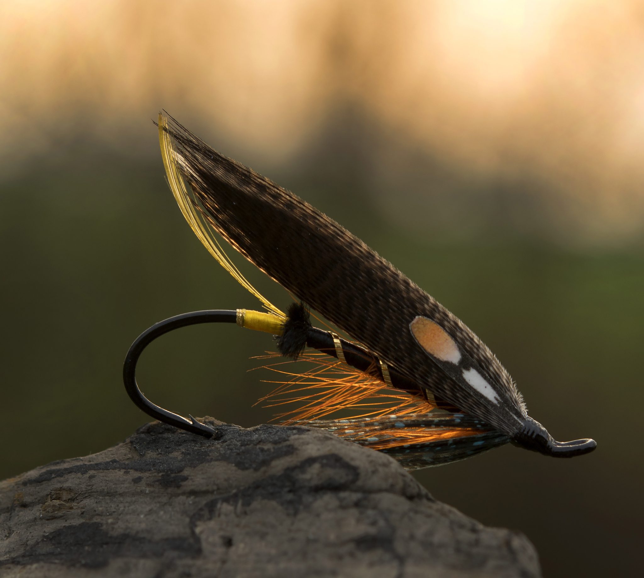 BLOG - Ahrex Hooks