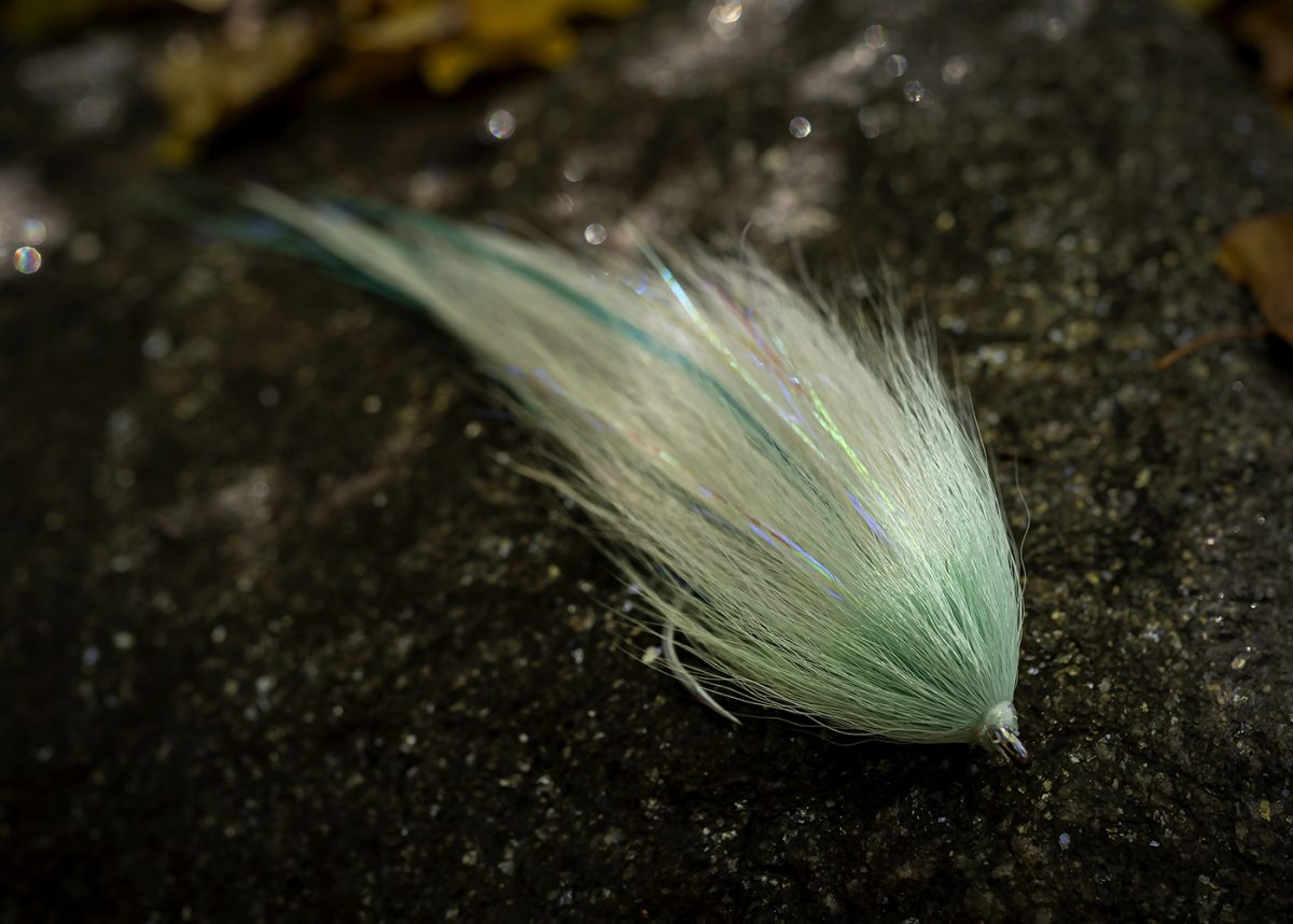 Beast Fleye - Ahrex Hooks