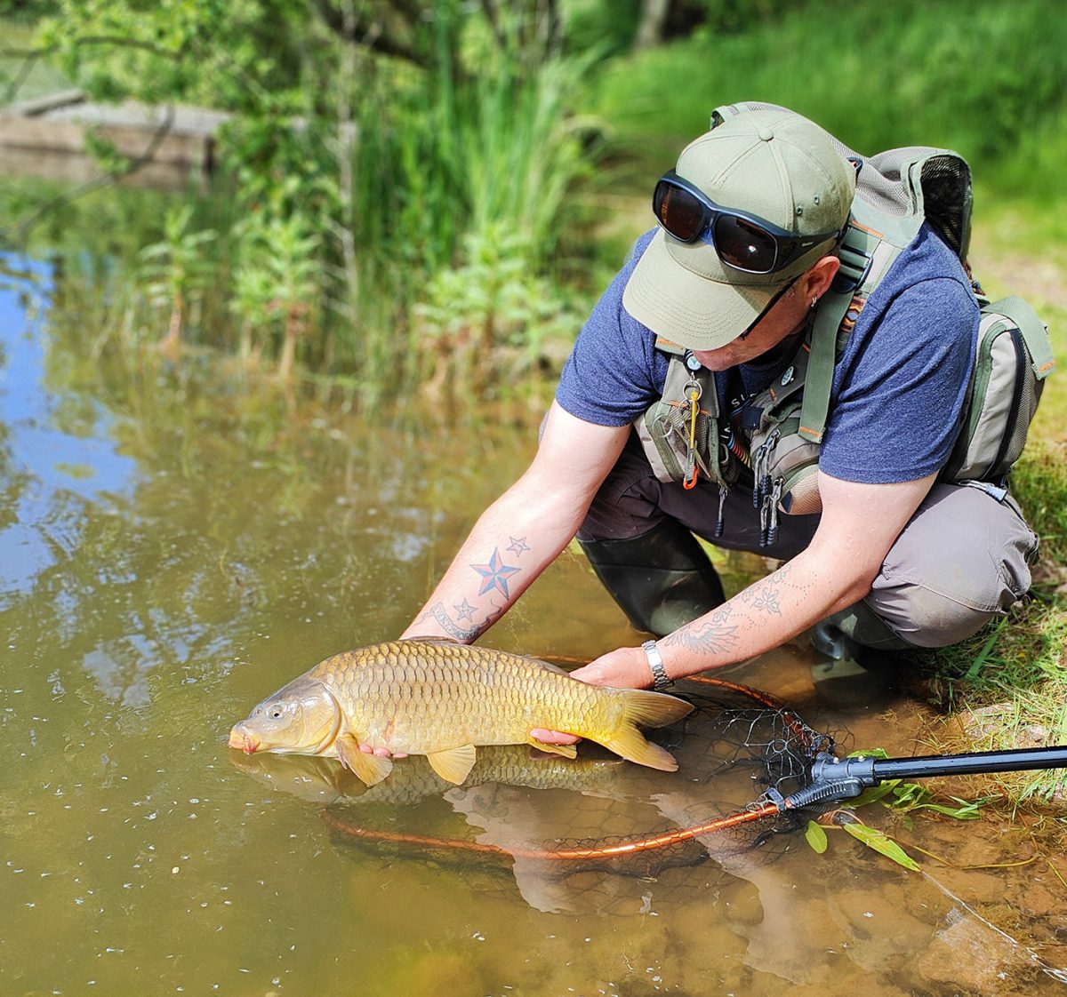 Nymphs for carp? - Ahrex Hooks