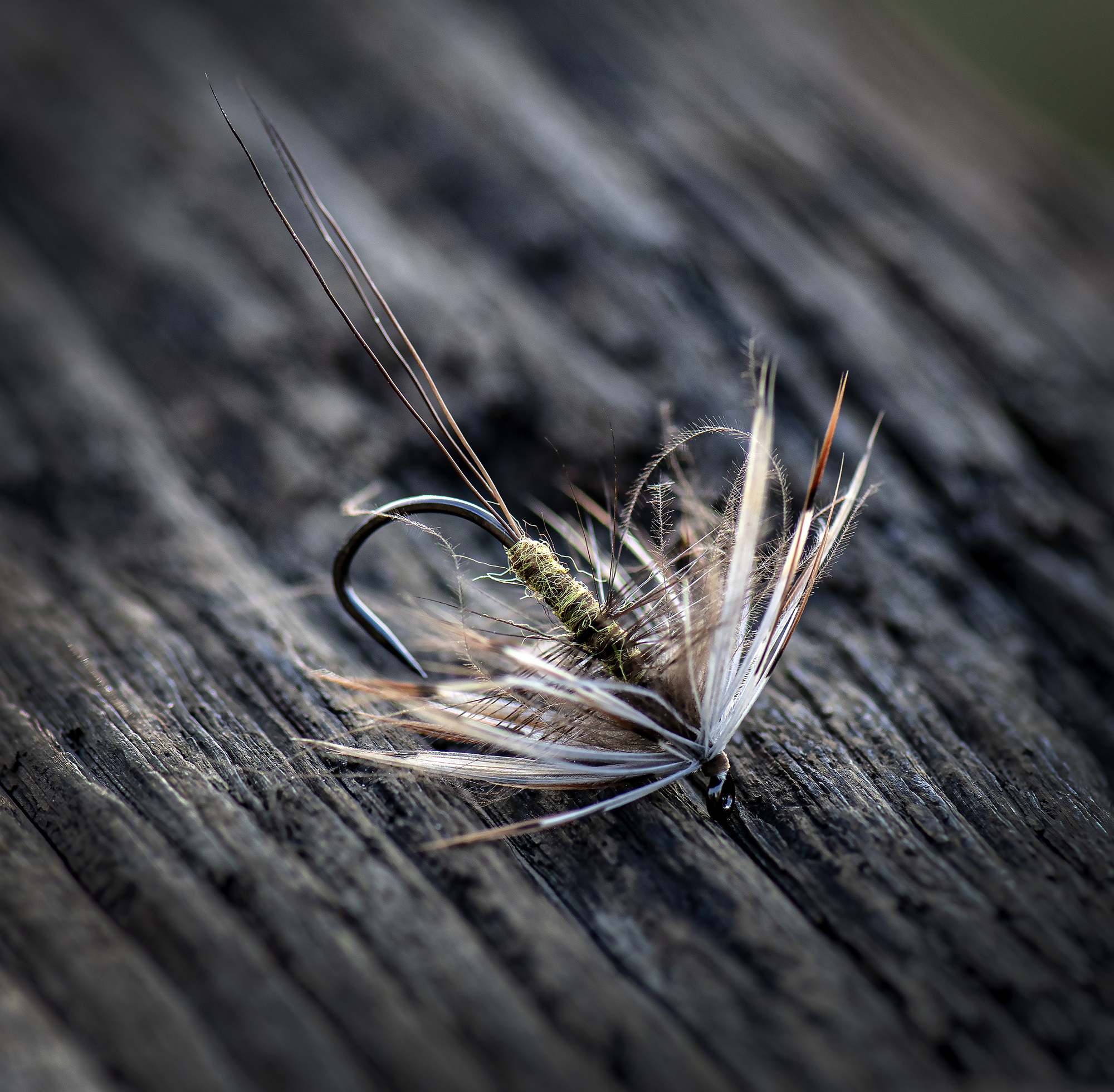 Mayfly fishing – try a Modified French Partridge - Ahrex Hooks